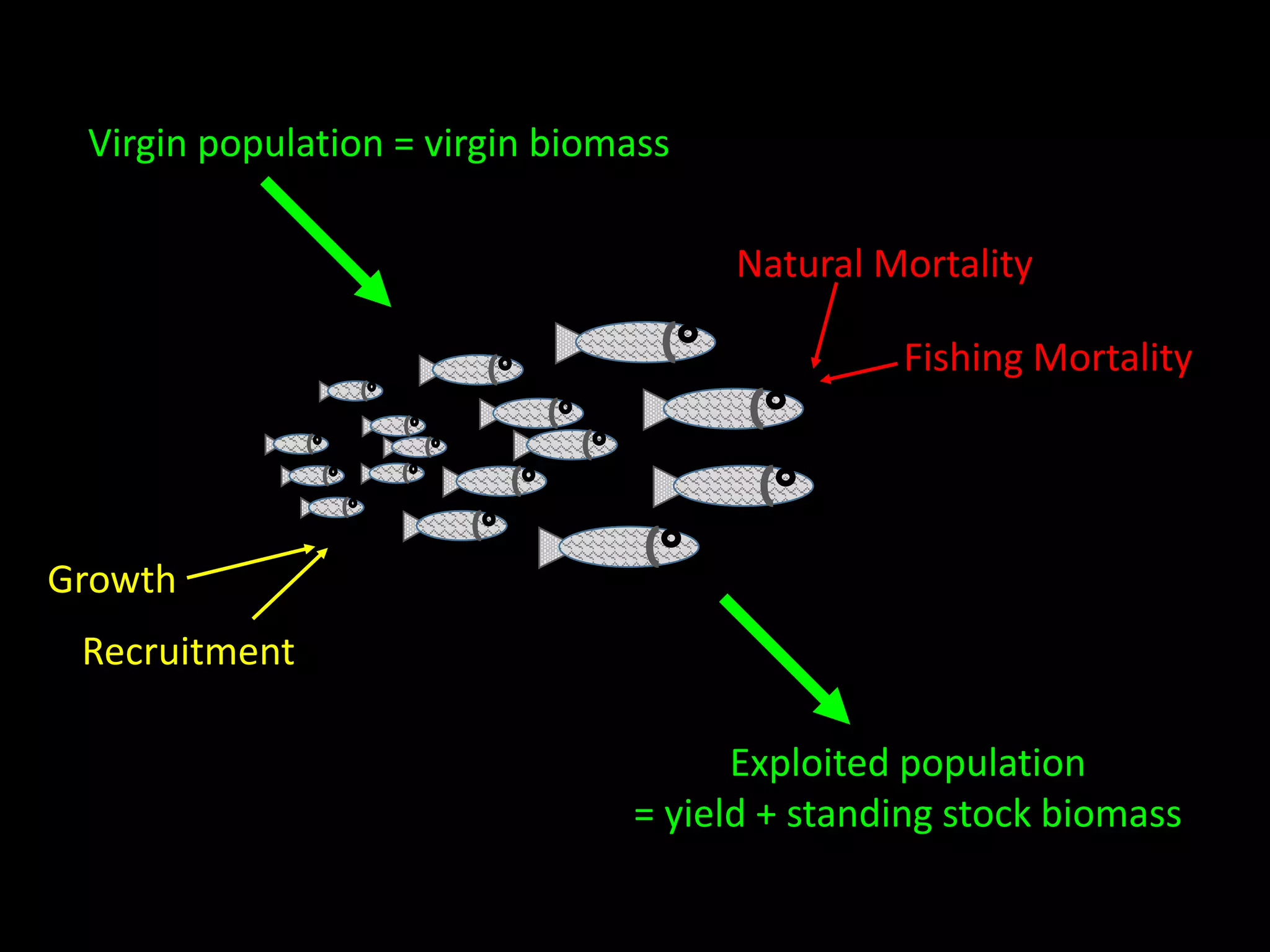 Virtual-Population-Analysis.pptx