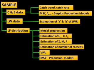 Virtual-Population-Analysis.pptx