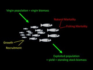 Virtual-Population-Analysis.pptx