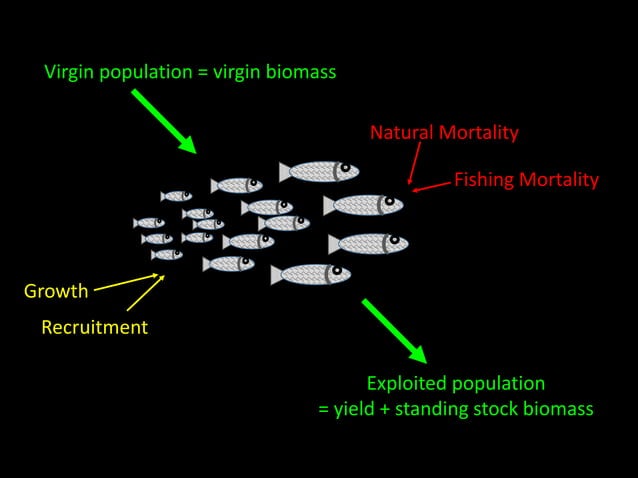 Virtual-Population-Analysis.pptx