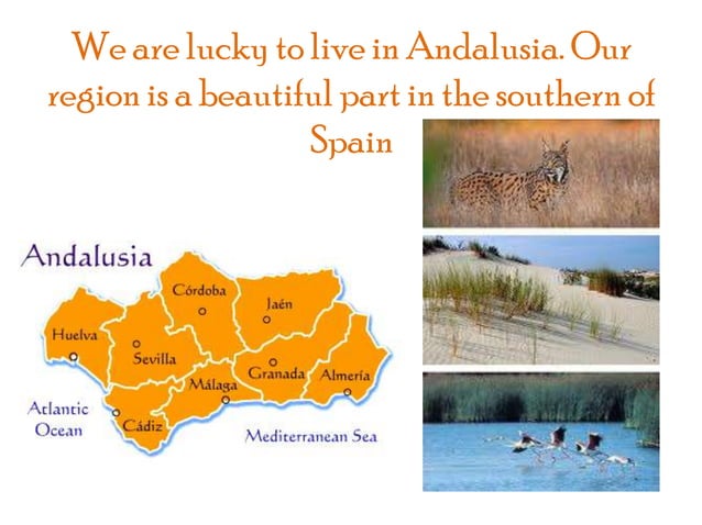Virtual andalusian activities for esl classroom | PPTX | Europe Travel ...