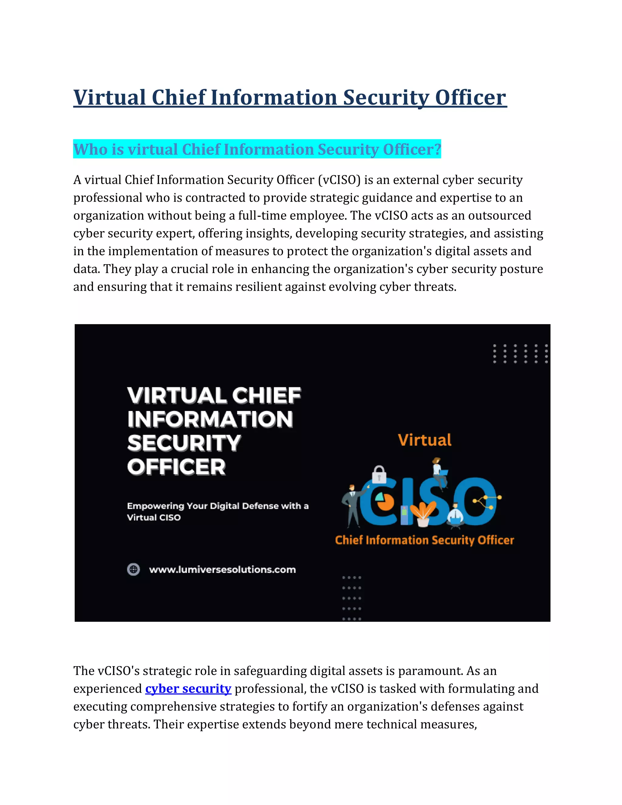Virtual Chief Information Security Officer | VCISO | Cyber Security | PDF