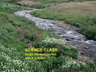 Virtual Classroom Rules PowerPoint Presentation | PPT