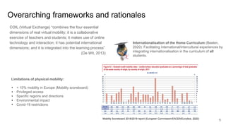 Virtual exchange in the University of Groningen: Examples from the ...
