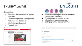 Virtual exchange in the University of Groningen: Examples from the ...