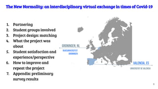 Virtual exchange in the University of Groningen: Examples from the ...