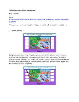 Virtual experiment | DOCX