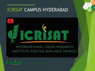 Virtual field trip to icrisat Done By Akhil Madishetti | PPTX