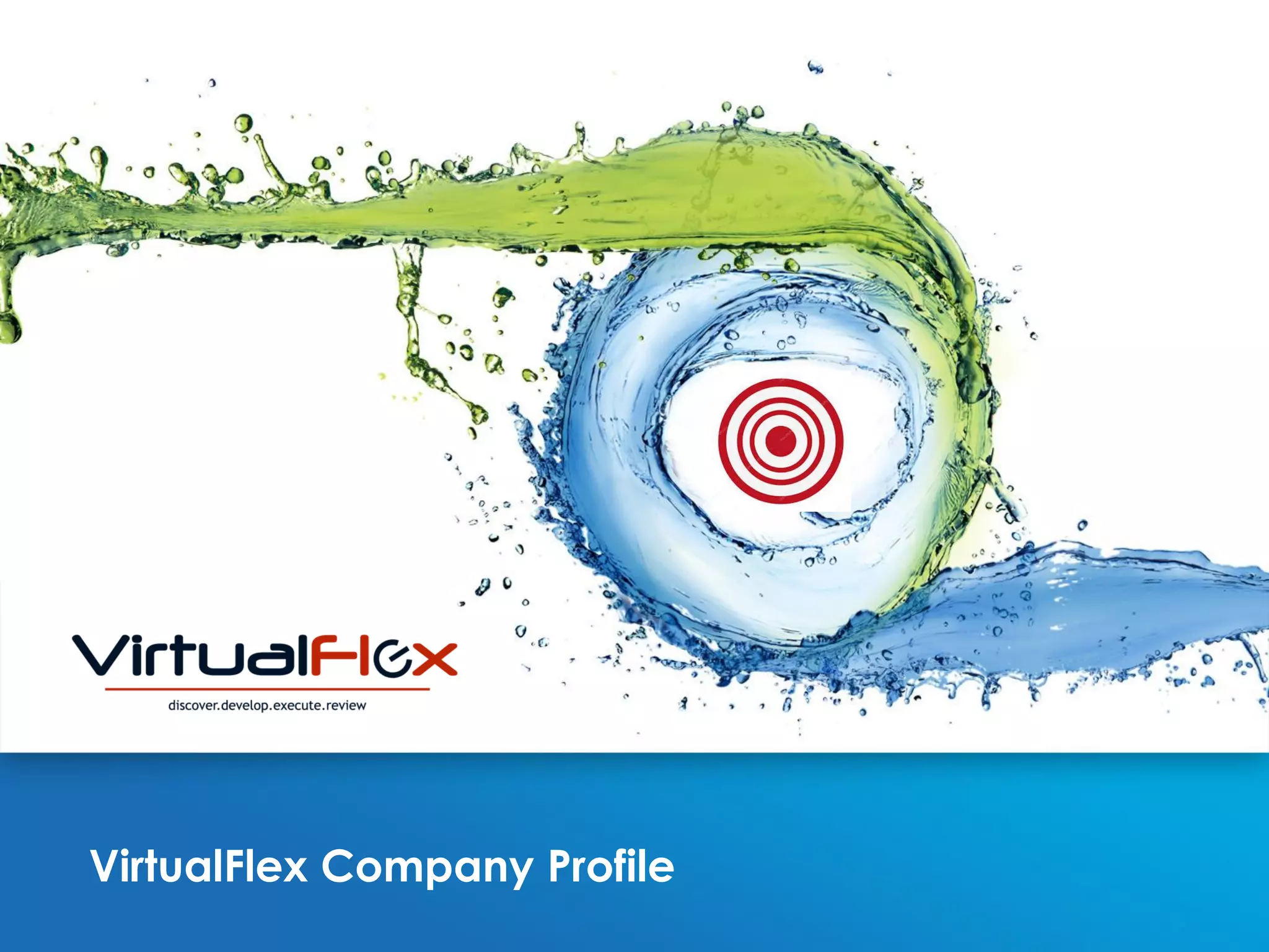 VirtualFlex_Company-Profile.pdf