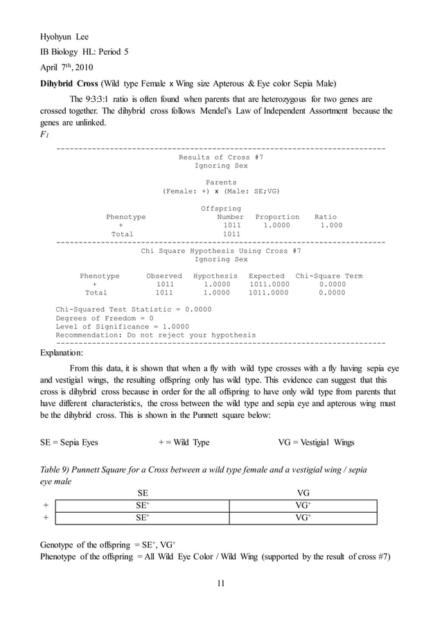 BIO Virtual fly lab (final draft) | DOCX