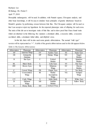 BIO Virtual fly lab (final draft) | DOCX