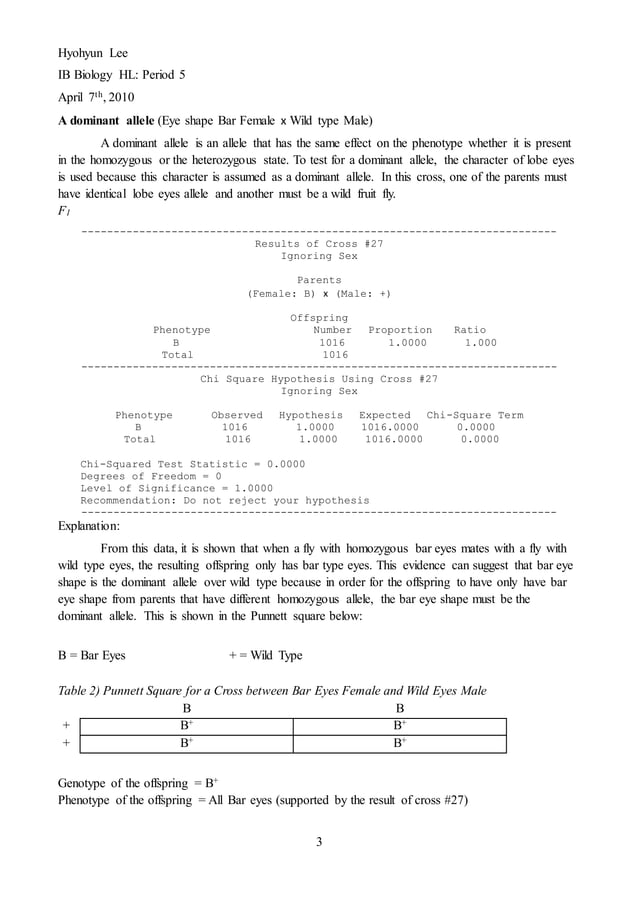 BIO Virtual fly lab (final draft) | DOCX
