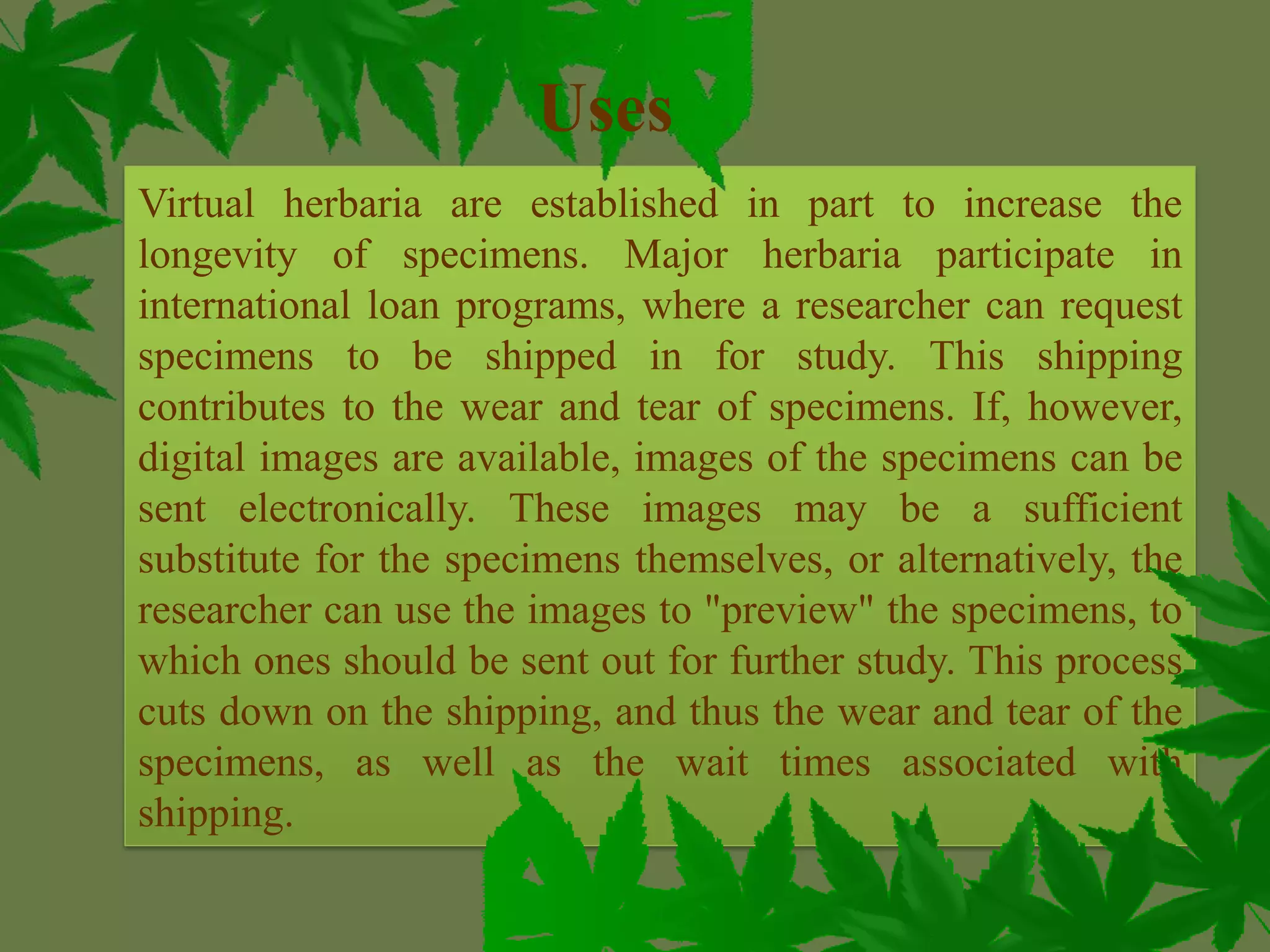VIRTUAL HERBARIUM | PDF
