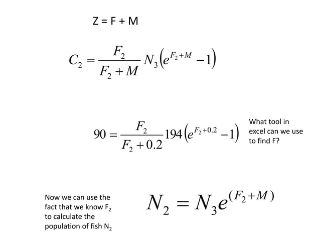 Virtual population analysis - fisheries management | PPT