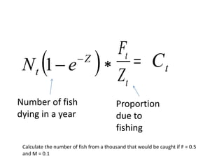 Virtual population analysis - fisheries management | PPTX