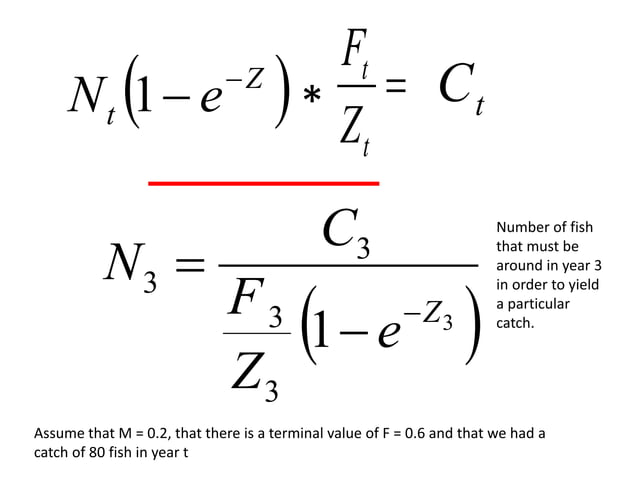 Virtual population analysis - fisheries management | PPT