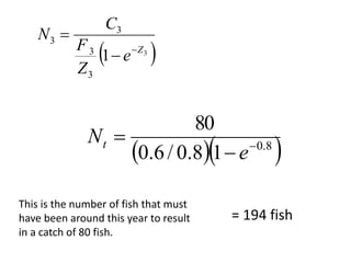 Virtual population analysis - fisheries management | PPTX