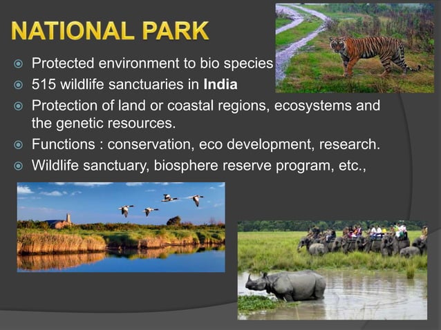 BIODIVERSITY CONSERVATION ON 8 SLIDES | PPT