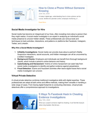Virtual Private Investigator_ Navigating the Digital Landscape for ...