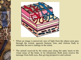 Virtual retinal display ppt | PPT