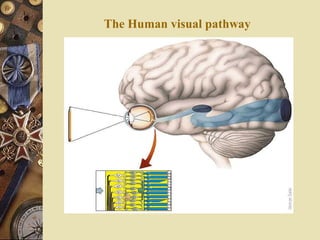 Virtual retinal display ppt | PPT