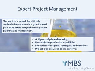 MBS About US | PPT