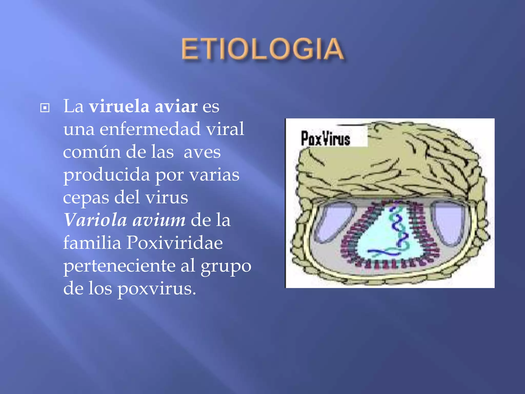 Viruela aviar | PPTX | Infectious Diseases | Diseases and Conditions