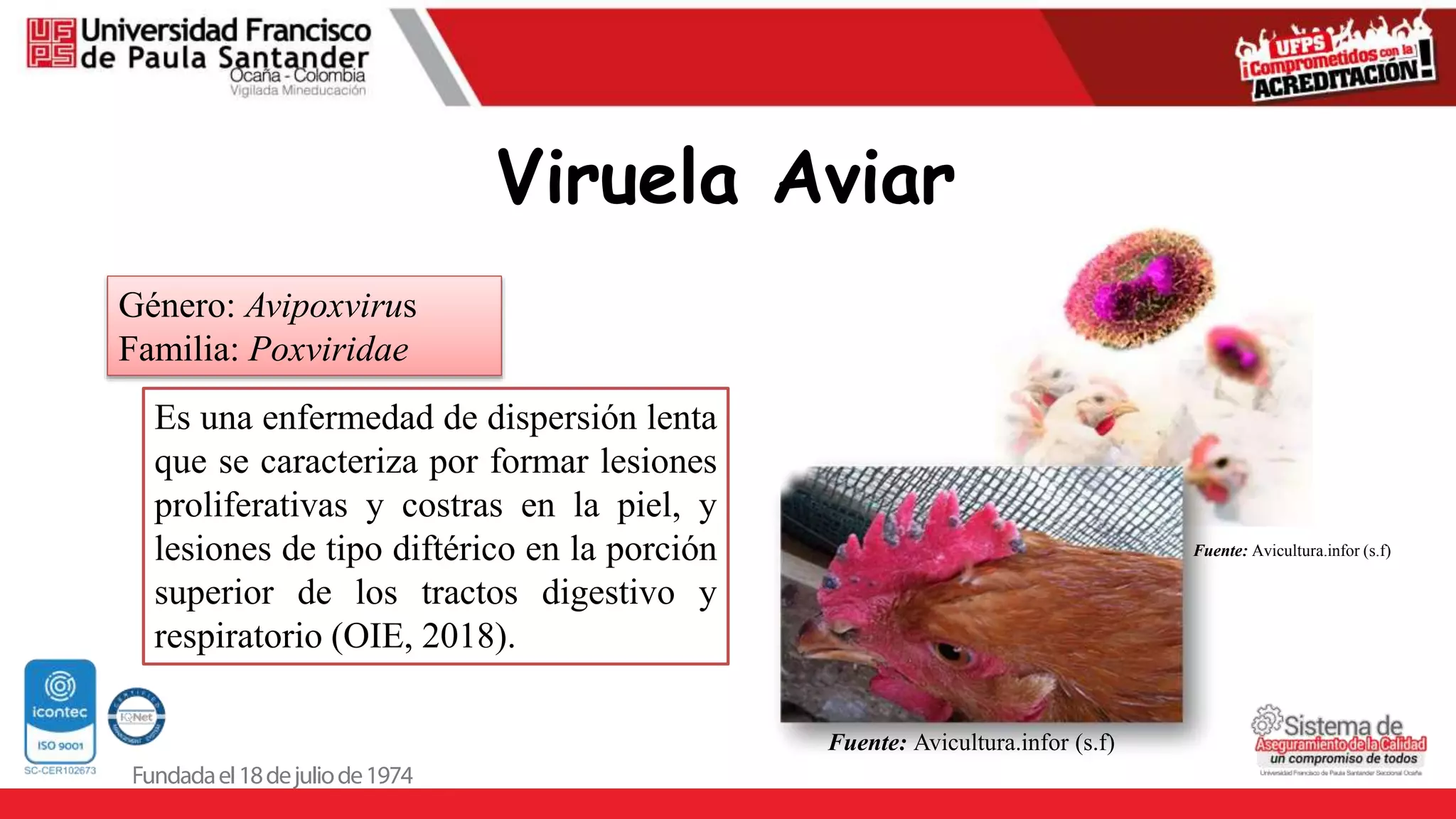VIRUELA AVIAR.pptx