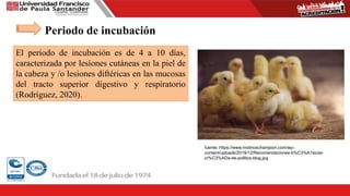 Expo. viruela aviar | PPTX