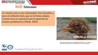 Expo. viruela aviar | PPTX