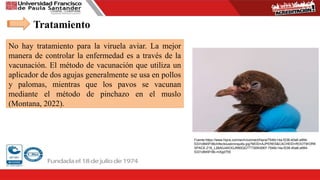 Expo. viruela aviar | PPTX