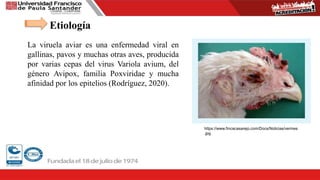 Expo. viruela aviar | PPTX
