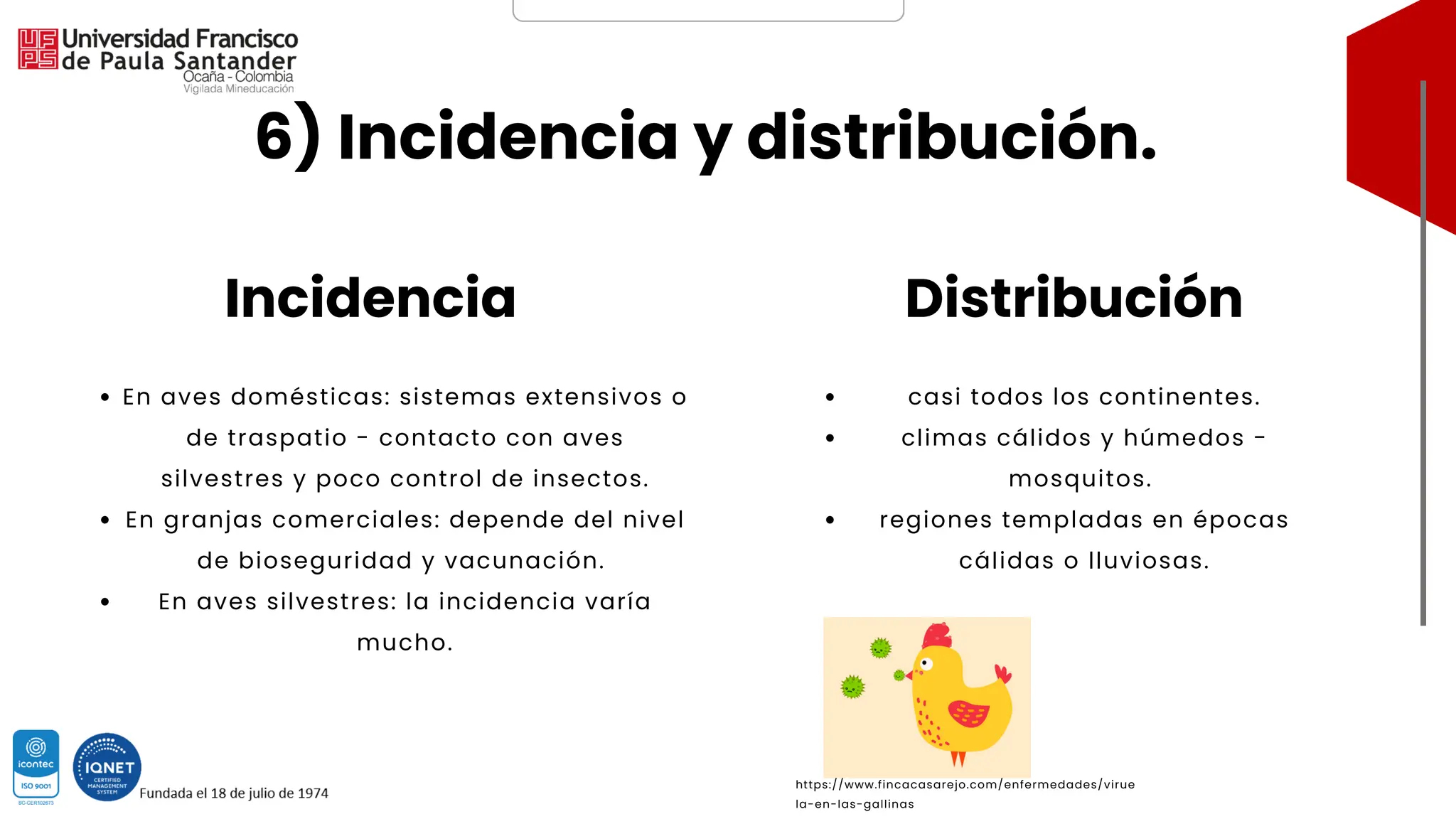 Viruela aviar: causas, síntomas, diagnóstico y medidas de prevención. | PDF