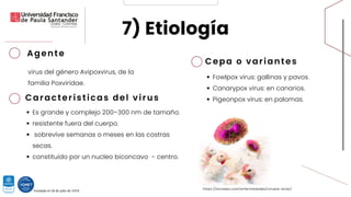 Viruela aviar: causas, síntomas, diagnóstico y medidas de prevención. | PDF