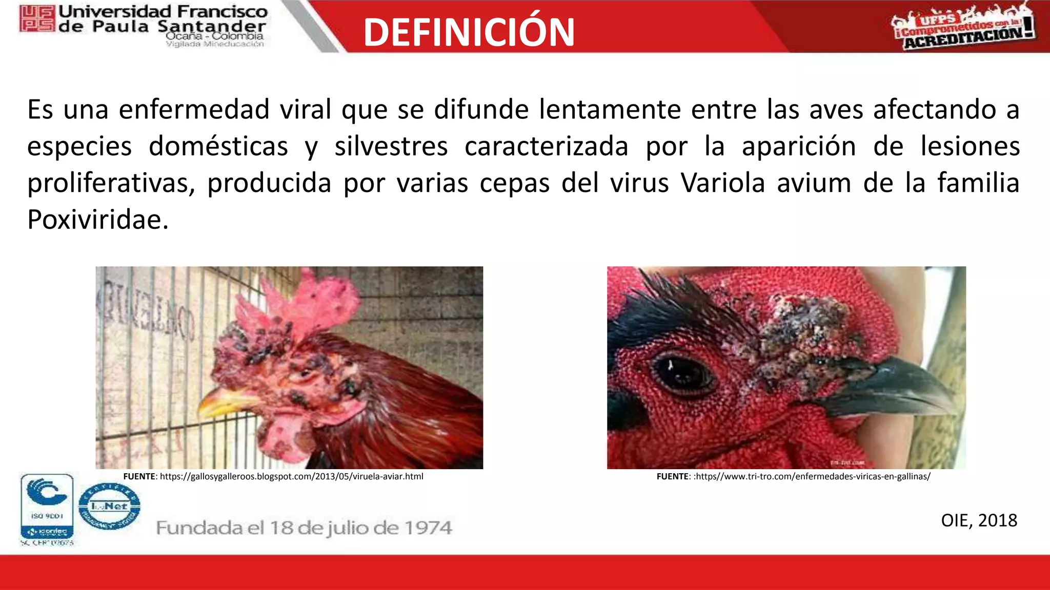 Viruela aviar | PPTX