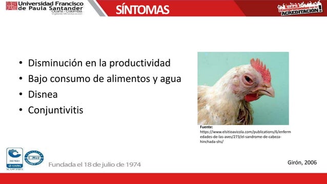 Viruela aviar | PPT