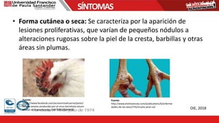Viruela aviar | PPTX