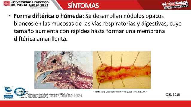 Viruela aviar | PPT