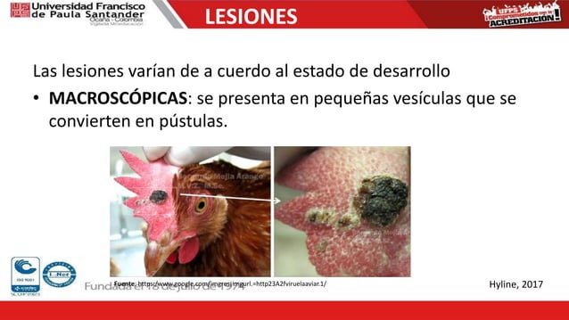 Viruela aviar | PPT