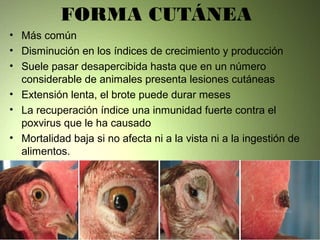 Viruela aviar seminario patologia aviar 2014 a mvz ut | PPT
