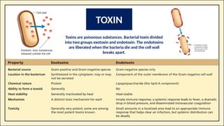 VIRULENCE FACTOR OF BACTERIA: STRUCTURAL ELEMENT, ENZYMES, TOXINS... | PPTX