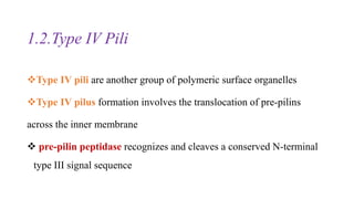 Virulence...ppt..mohammed | PPT