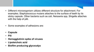 Virulence and pathogenesis (kailash) | PPT
