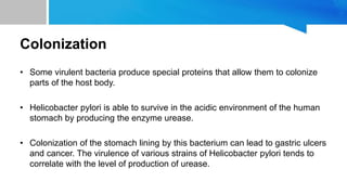 Virulence and pathogenesis (kailash) | PPT