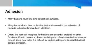 Virulence and pathogenesis (kailash) | PPT