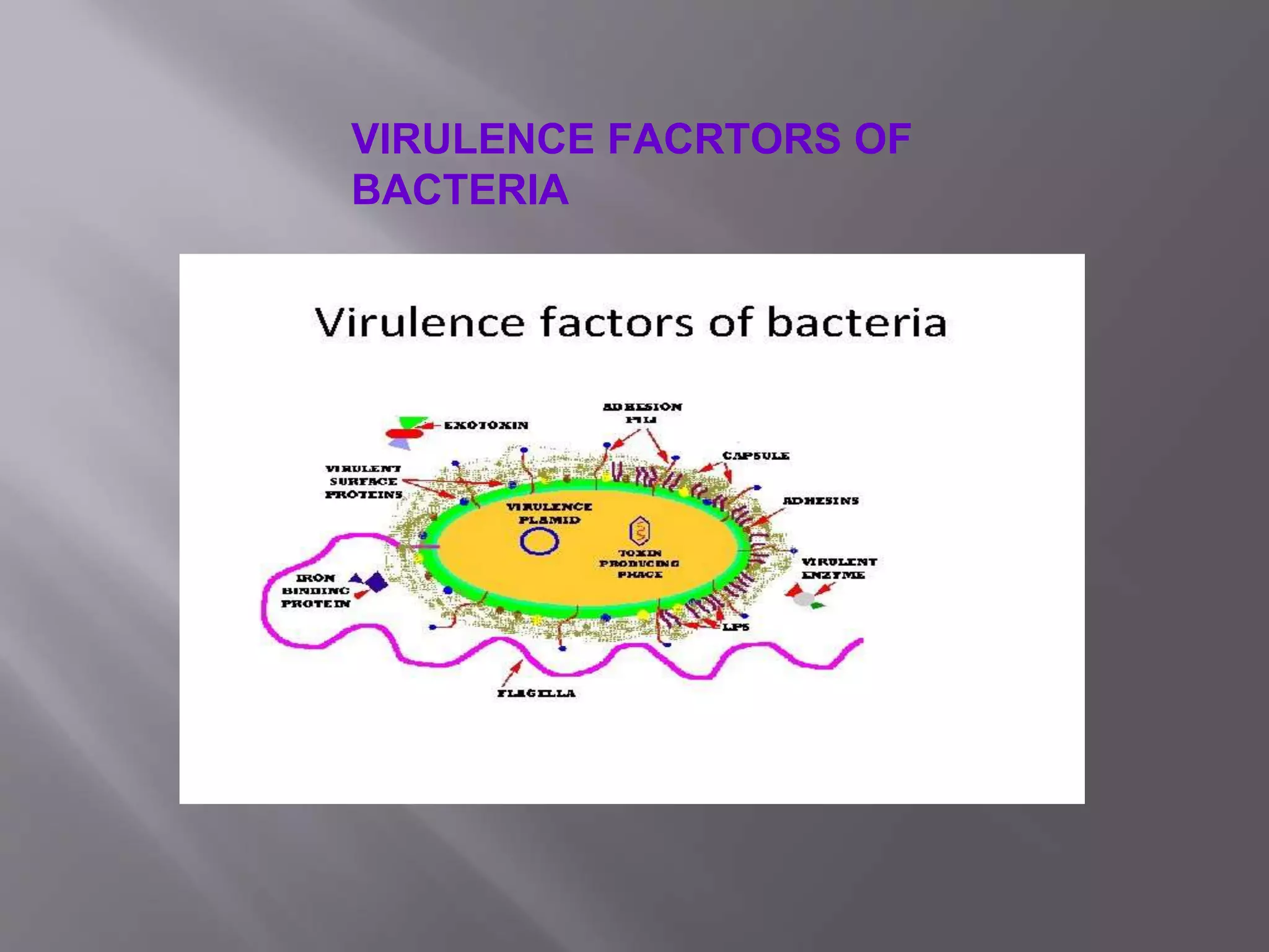 VIRULENCE FACTORS (1).pptx