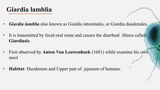 virulence factors of Giardia Presentation.pptx