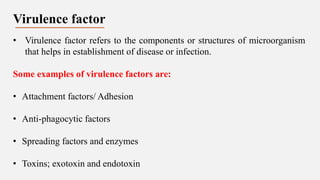 virulence factors of Giardia Presentation.pptx