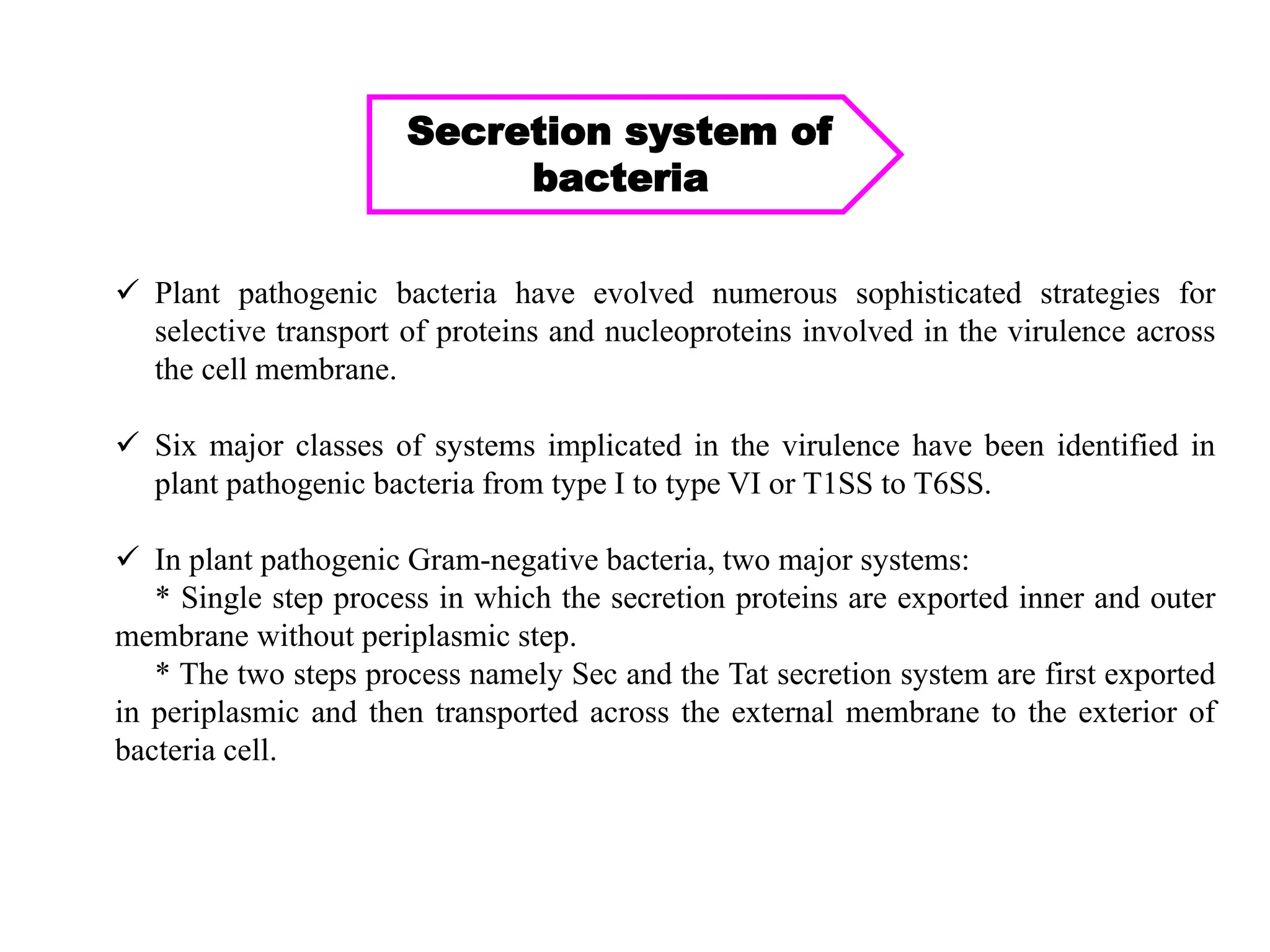 virulence of plant pathogenic bacteria.pptx