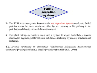 virulence of plant pathogenic bacteria.pptx